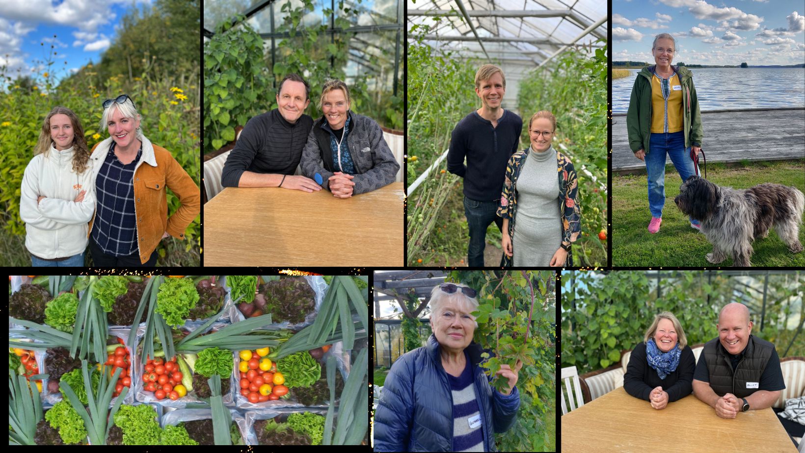 Hornuddens CSA - Community Supported Agriculture - Hornuddens trädgård